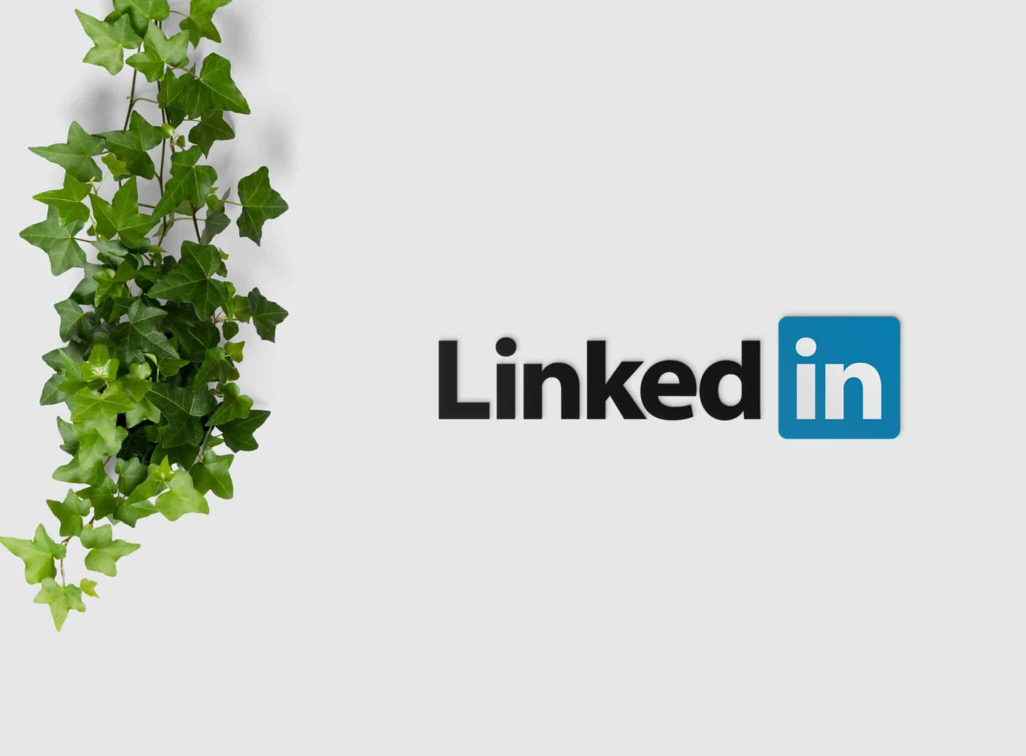 31 LinkedIn Profile Tips For Job Seekers Prepory 31 LinkedIn Profile Tips For Job Seekers Prepory