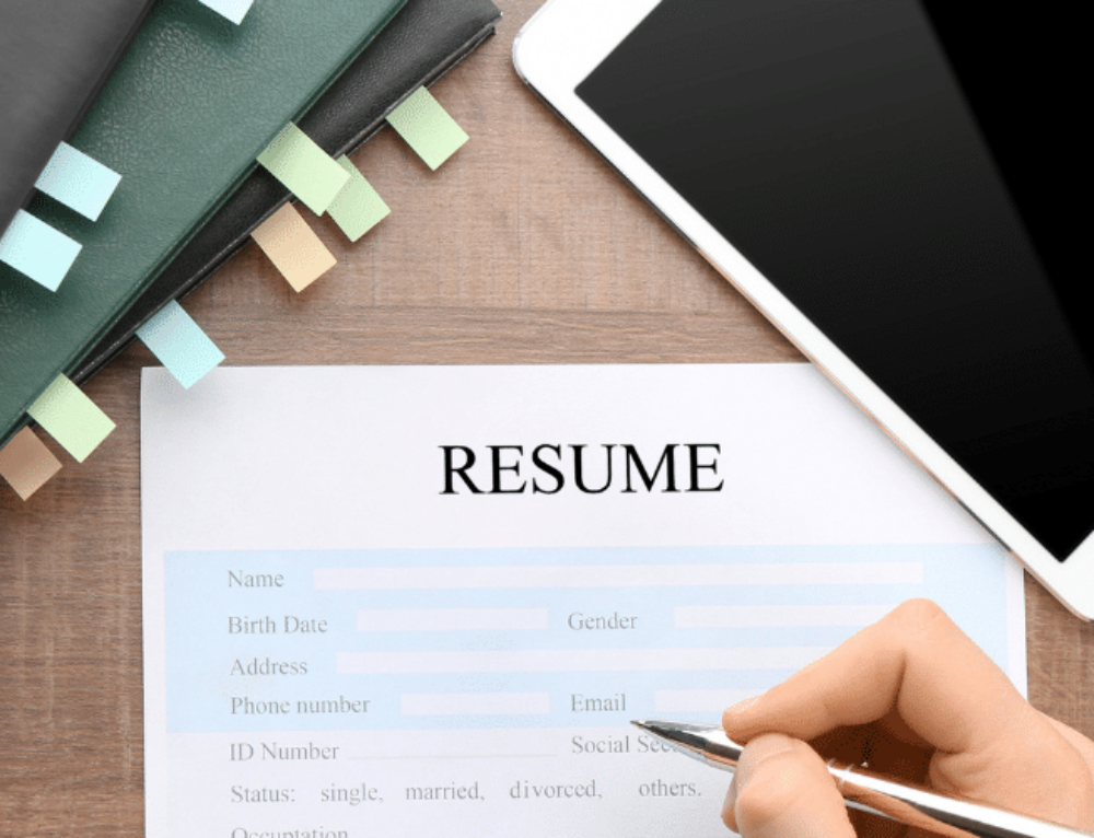 Best Resume Templates 2023 - Prepory