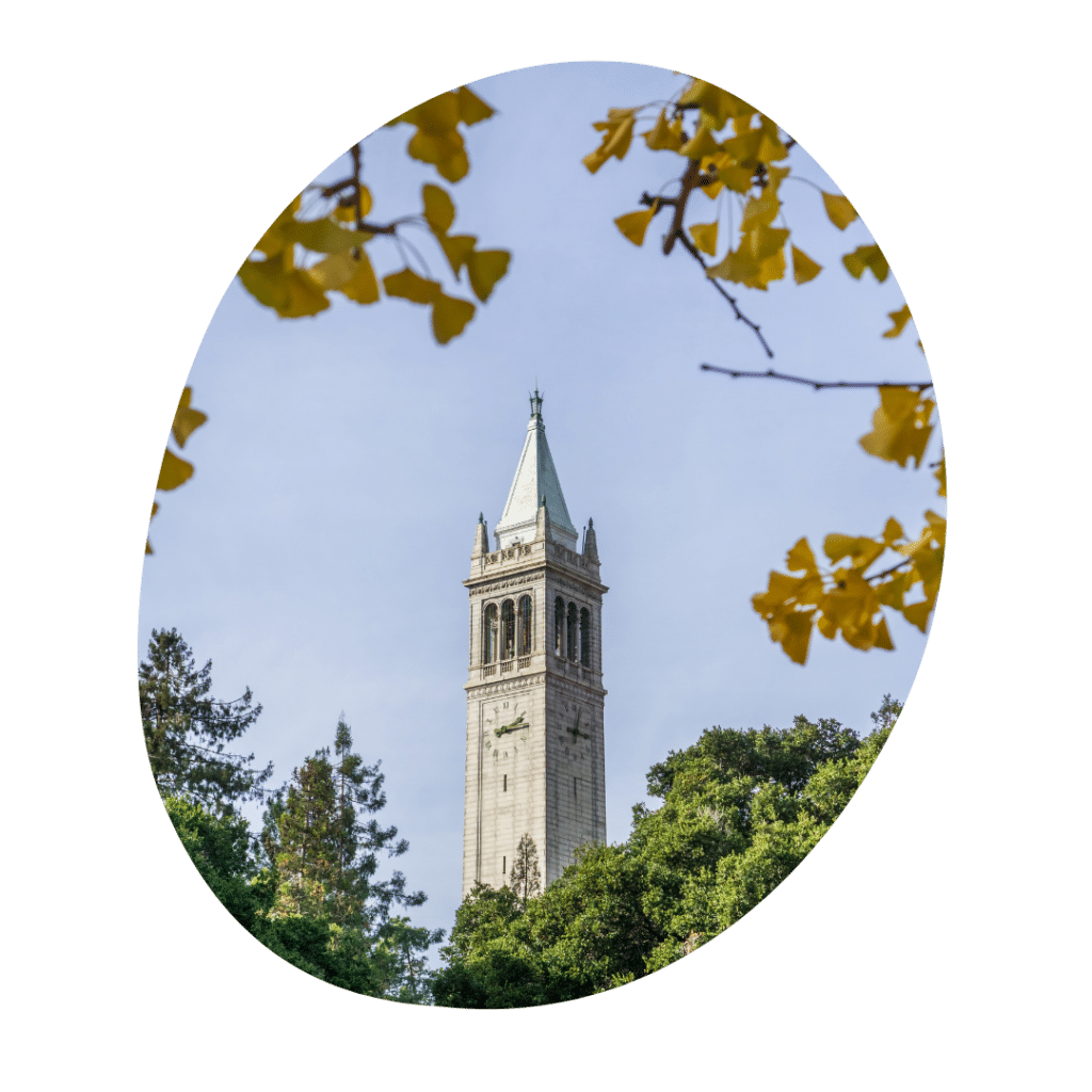 The Ultimate Guide to the UC Application Process