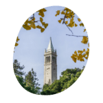 The Ultimate Guide to the UC Application Process