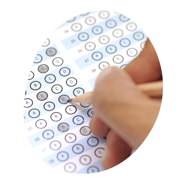 The Ultimate Guide to the UC Application Process