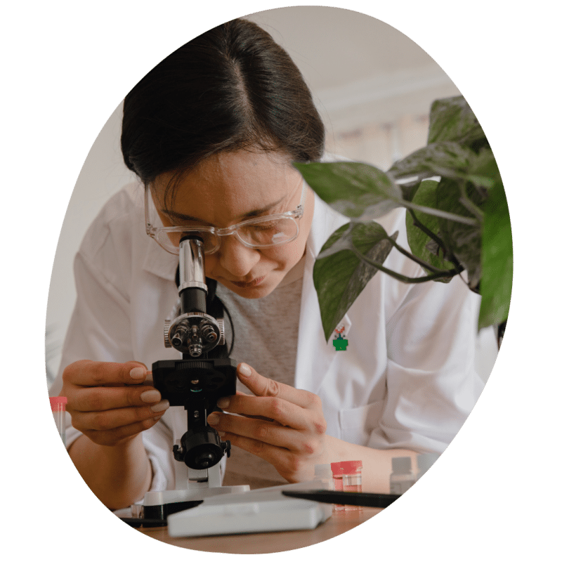 The Most Popular College Majors