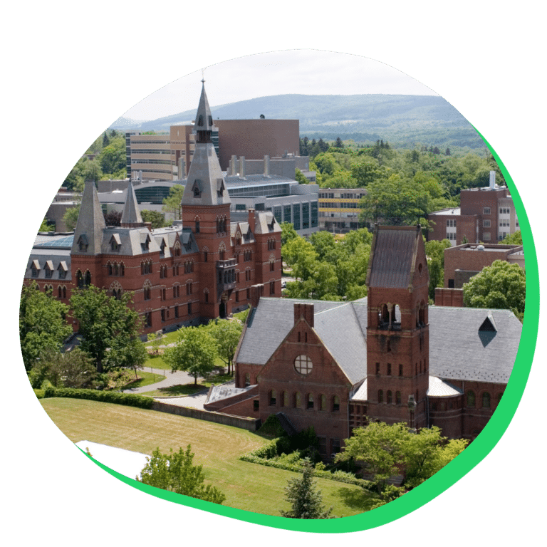 Top Engineering Schools in the US | Best Engineering Colleges