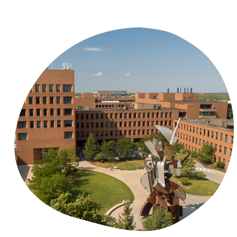 Top STEM Colleges in the US: Discover the Best STEM Programs